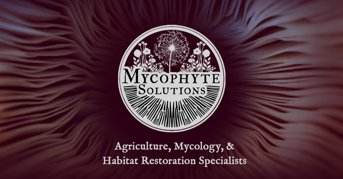 Mycophyte Solutions | Certified Agronomy & Mycology Consulting